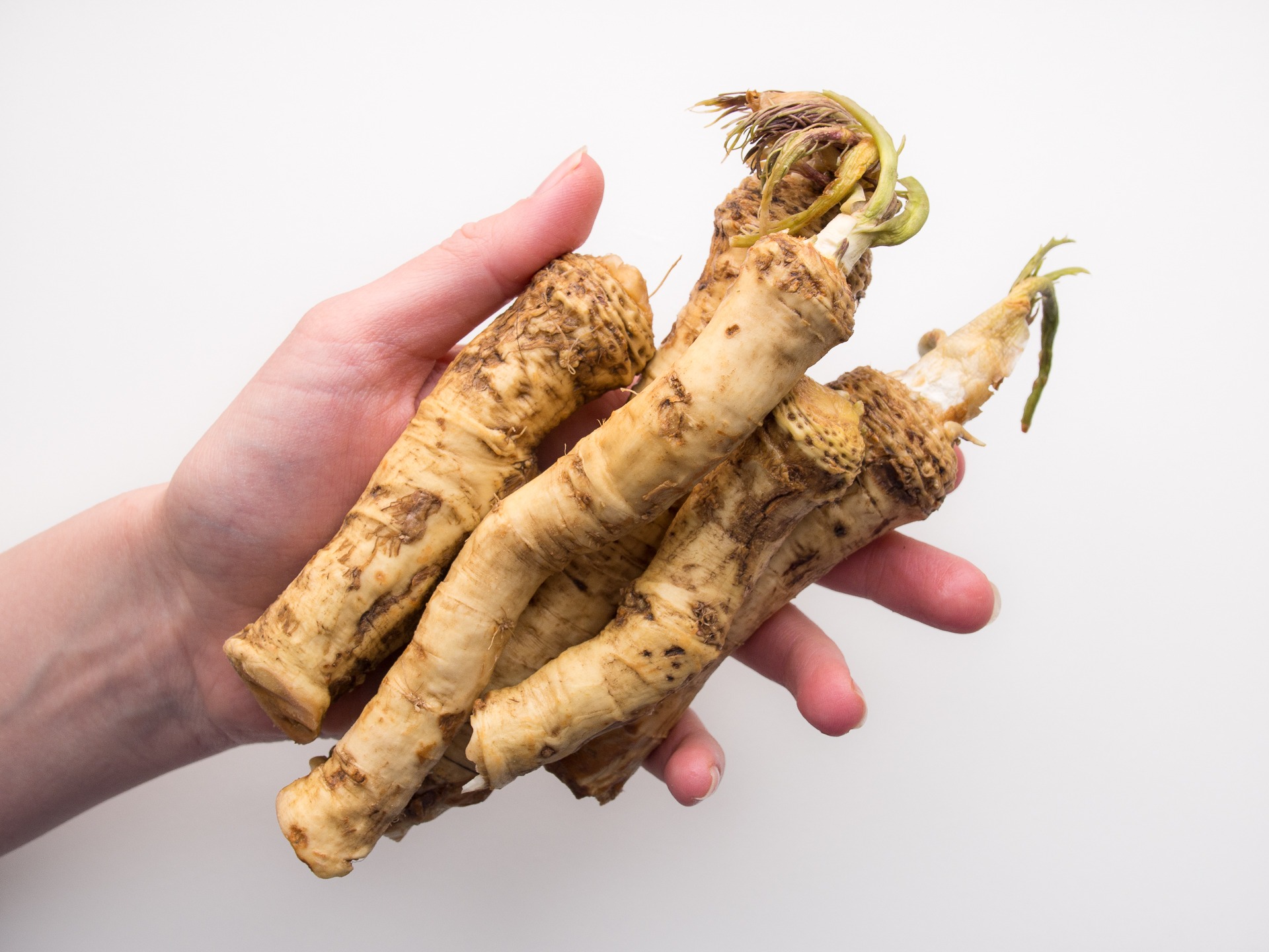 Jak zrobić domowy chrzan? - DomowejRoboty